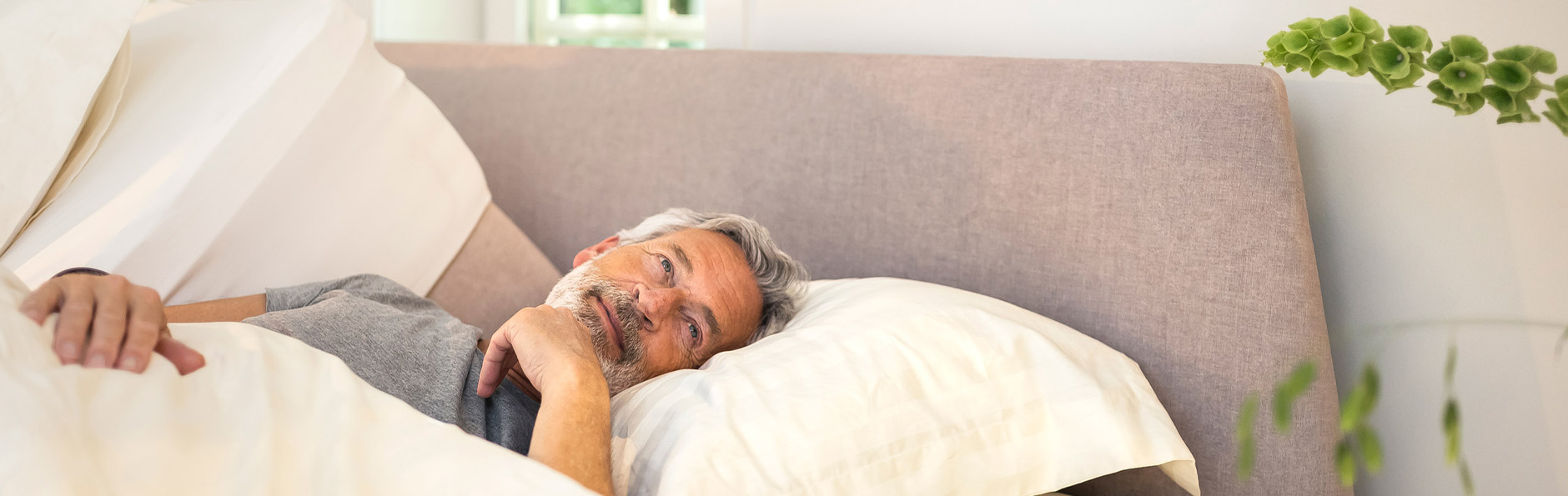 Well-Fair | Comfort en gemaksproducten